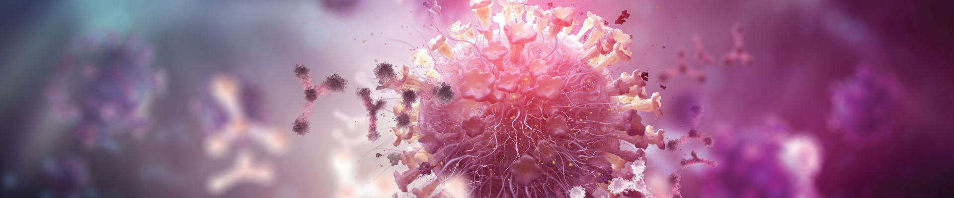 Test Related to Blood Infections | HOD